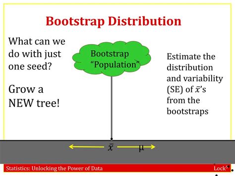 Ppt Confidence Intervals Bootstrap Distribution Powerpoint