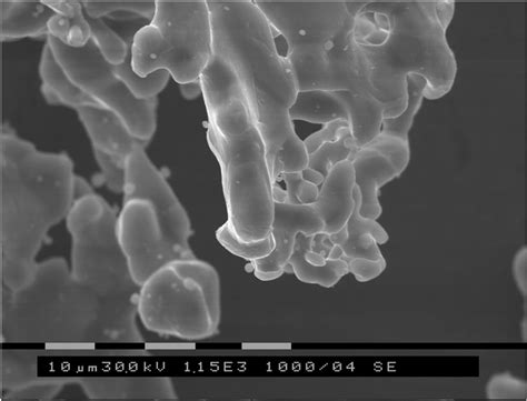 Microstructure Of Initial Powder Of Titanium Of Pts Type Download