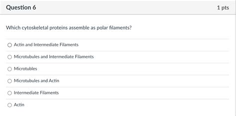 solved question 6 1 pts which cytoskeletal proteins assemble