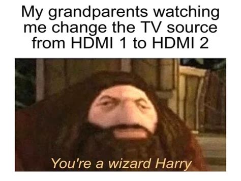 15 Wizard Memes That Will Cast A Spell On Your Funny Bone Chameleon