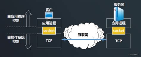 lv7 嵌入式开发 网络编程开发 06 socket套接字及tcp的实现框架 csdn博客
