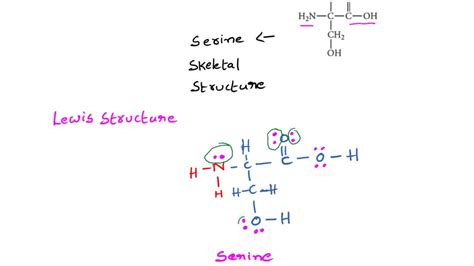 Solved The Skeletal Structure Of Serine Shown Below Complete The