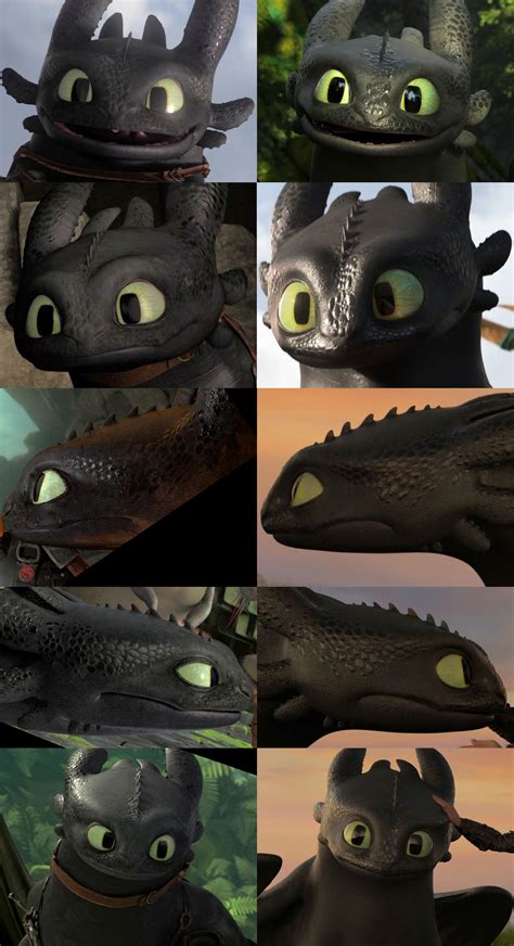 Toothlesss Head Comparison Httyd2 Httyd3 By Roma2poi On Deviantart