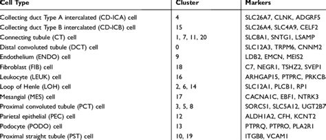 Identification Of Cell Types In Scrna Seq Data Via Highly Variable Markers Download Scientific