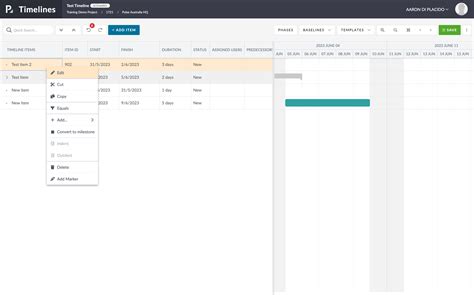timeline item table pulse project management software