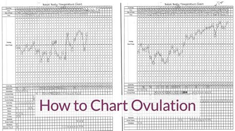 How To Chart Ovulation YouTube