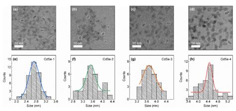 Ad Tem Images With Shape Anisotropy As Marked By Dotted Lines Eh Download Scientific