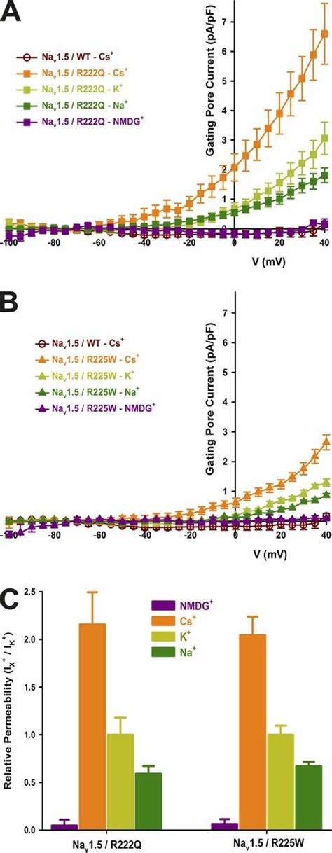 Gating Pore Current Ionic Selectivity After Linear Leak Subtraction