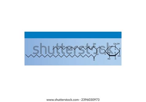 Diagram Showing Schematic Molecular Structure Neutral Stock Vector