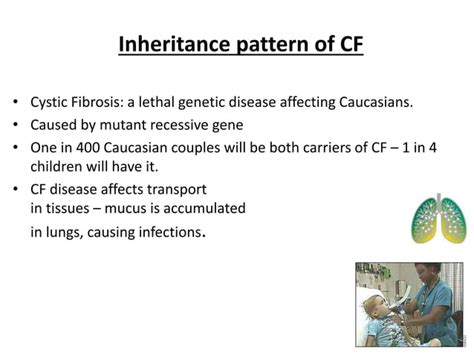 Patterns Of Inheritance Mendelian Inheritance Pptx Gardening Home And Garden