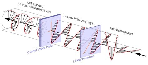 Polarization Linear And Circular Polarizers