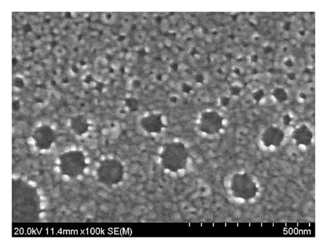 Sem Image Of Au Nanoporous Layer Modified Au Electrode Download