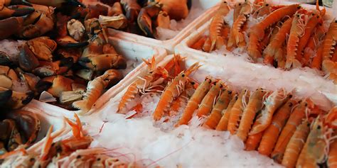 Renewable Energy Tech From Shrimp And Crab Shells Profolus