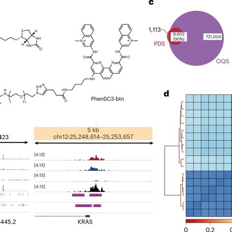 Chem Map Reveals Genomic Binding Sites Of Dna G Quadruplex Binding Download Scientific Diagram