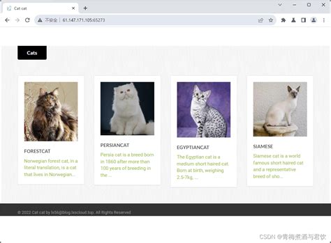 攻防世界：catcat Newcatcat New攻防世界 Csdn博客