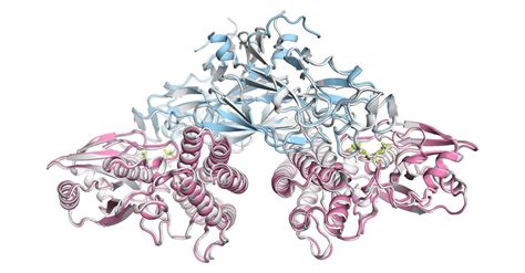 Deepmind Unveils Its New Protein Folding Ai Model Alphafold 3 The