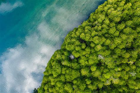 Sediment Upheaval And Negative Carbon Emissions Ocean Decade