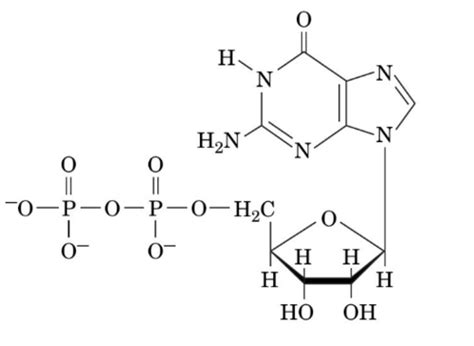 Chapter 3 Review Flashcards Quizlet