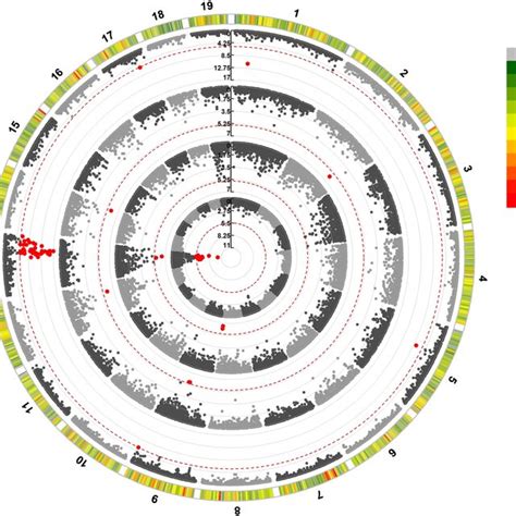Graphical Representation Of The Consensus Map Of C Edule Including Download Scientific Diagram
