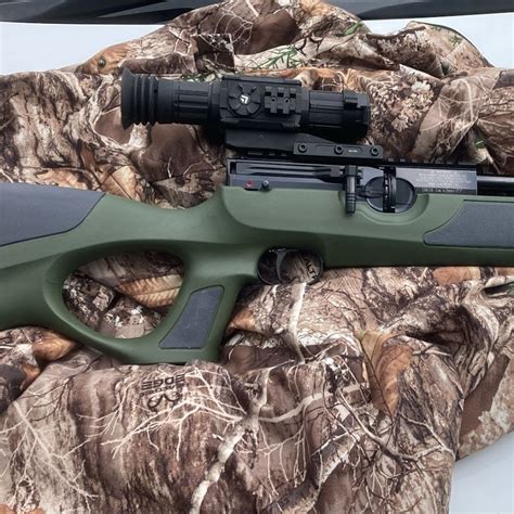 Kent Pest Controller Youtube