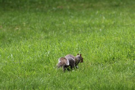 Assignment1part1 Flickr