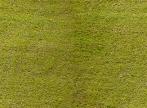 Seamless Texture Grass 7 By Lasaucisse On Deviantart