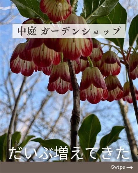 八ヶ岳倶楽部 八ヶ岳倶楽部 Added A New Photo