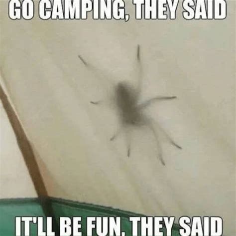 Funny Camping Memes To Brighten Your Day 37 Pics