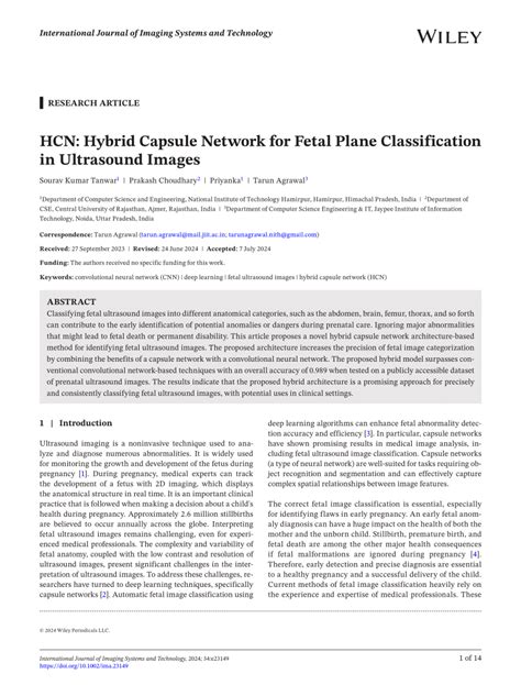 HCN Hybrid Capsule Network For Fetal Plane Classification In Ultrasound Images Request PDF