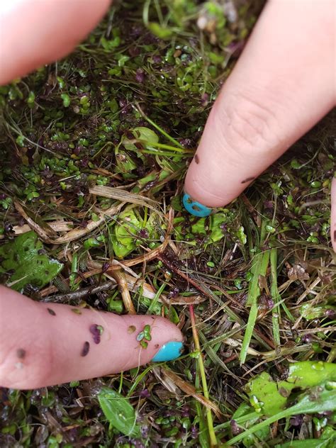 Closer Look Album On Imgur