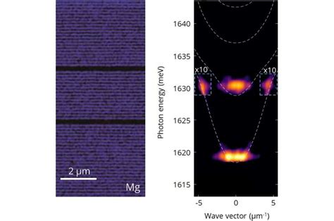 Non Linear Effects In Coupled Optical Microcavities The Quantum Theory