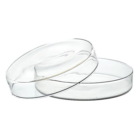 Чашка петри 2 х секционная 100х23мм — купить по низкой цене на Яндекс Маркете