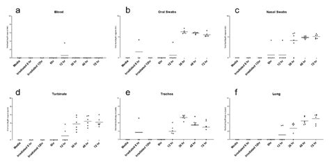 Molecular Detection Of Subgenomic E Sars Cov 2 In Tissues And Swabs