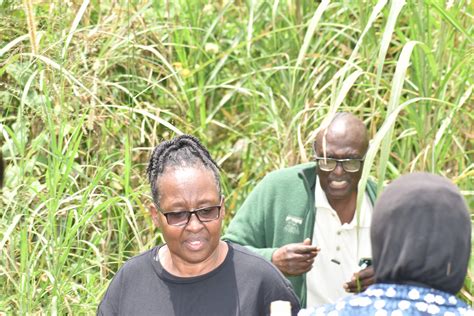 Landscape Restoration Capability Along The Albertine Rift Project