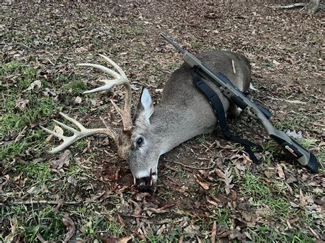 Hunting Caliber Chart Whats Your Caliber Rhunting