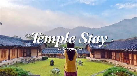 말 한마디 안하는 나홀로 템플스테이ㅣ양평 용문사ㅣ1박2일 휴식형ㅣ준비물ㅣ예불드리는 법ㅣ양평 가볼만한 곳ㅣ모던클로이스터ㅣ두물머리ㅣtemplestay Korea ㅣ