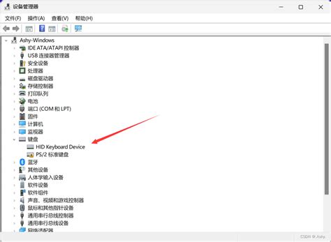 Win11 禁用 触摸板 和 电脑自带键盘 及其恢复（带图文 ， 超详细 ， 管用！！！）禁用电脑自带键盘 Csdn博客