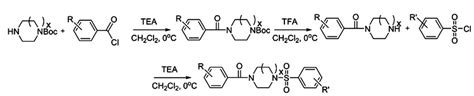 scheme 2 [general procedure for the synthesis of analogues] probe