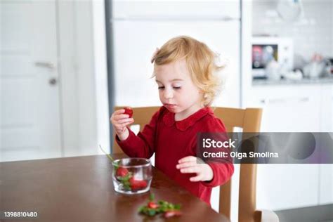 귀여운 작은 백인 금발 아기 소녀 유아 예쁘고 사랑스러운 유아가 부엌의 테이블에서 딸기를 먹습니다 재미있는 아이 더러운 얼굴을 가진 아이 건강한 점심을 먹는 입 열매 12