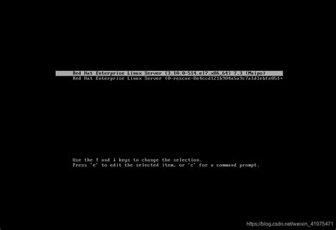 25 linux系统忘记登录密码解决办法 别着急，还能抢救一下 linux登录密码忘了怎么办 csdn博客