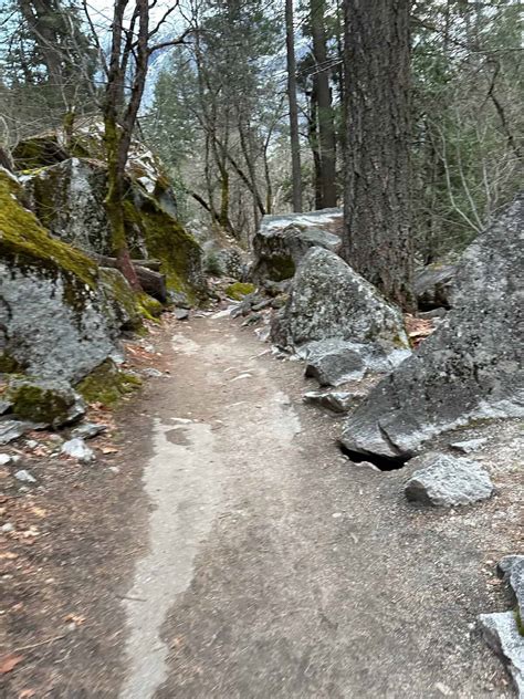 Mirror Lake Trail In Yosemite National Park