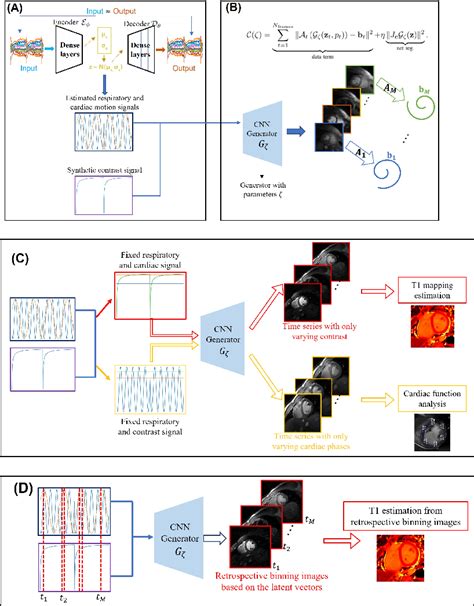 Figure 1 From Joint Cardiac T1 Mapping And Cardiac Cine Using Manifold