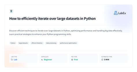 How To Efficiently Iterate Over Large Datasets In Python Labex