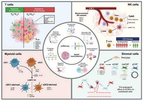 Anthony Kwabena Mclean On Linkedin Leveraging Multi Tissue Single
