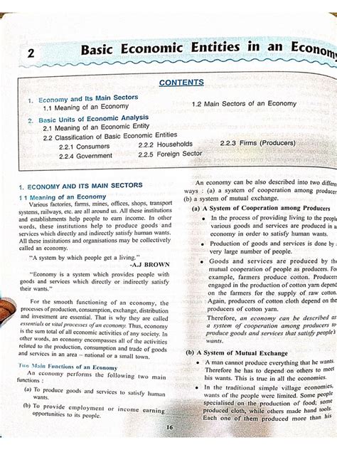 Basic Economic Entities Pdf