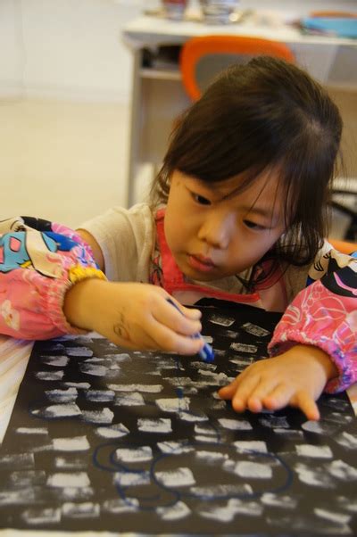 Thursday August 21 2014 Stellers Jay Class