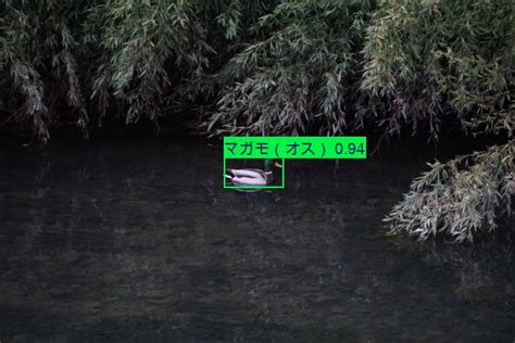 Creating An Object Detection Dataset Using Label Studio With Yolo Ml