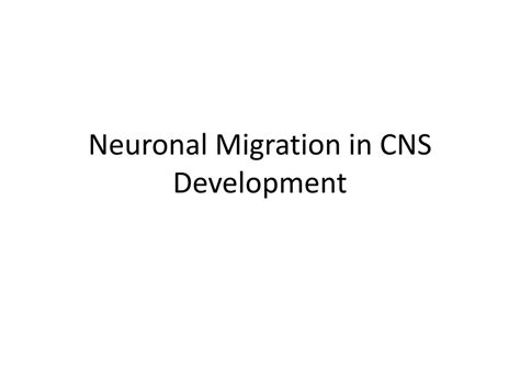 Ppt Neuronal Migration In Cns Development Powerpoint Presentation Free Download Id 3430346