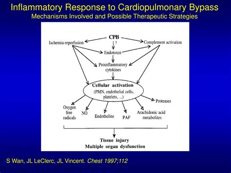 Ppt Classification Of Microcirculatory Abnormalities In Distributive Shock Can Ince Clinical