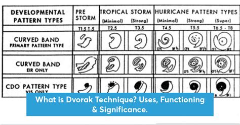 Explained What Is Dvorak Technique Uses Functioning And Significance